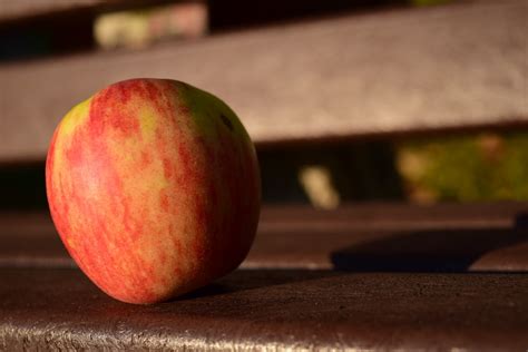 무료 이미지 과일 익은 식품 빨간 생기게 하다 건강한 닫기 정물 닫다 은행 복숭아 아름다운 단절 비타민 인사말 카드 매크로 사진 열매를 맺다