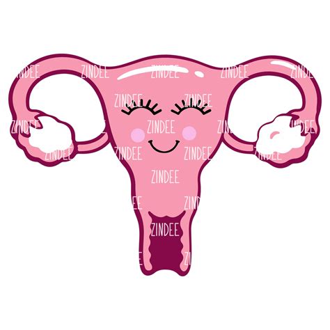 Royalty Free Uterus Clip Art Vector Images