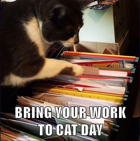 25 Clocked In Cat Coworkers To Survive This Monday With Memes I Can