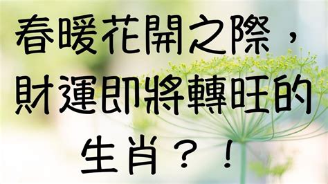 春暖花開之際，財運即將轉旺的生肖？！ Youtube
