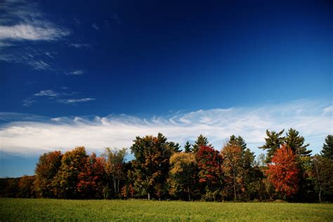 Free Images Landscape Tree Nature Forest Grass Outdoor Horizon