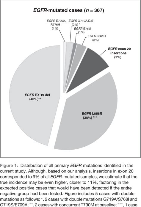 Figure 1 From Egfr Exon 20 Insertion Mutations In Lung Adenocarcinomas Prevalence Molecular