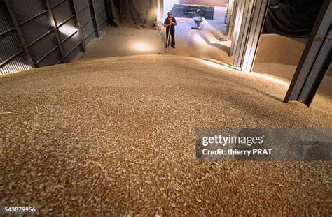 Silos Grain Photos And Premium High Res Pictures Getty Images