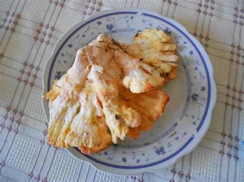 Шумско пиле Око Златибора