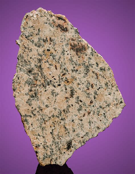 Complete Slice Of Nwa 10154 — An Anomalous Meteorite From The Asteroid Vesta Adio Anom