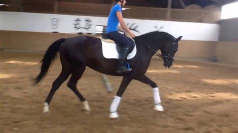 Briane 22 07 2016 Youtube