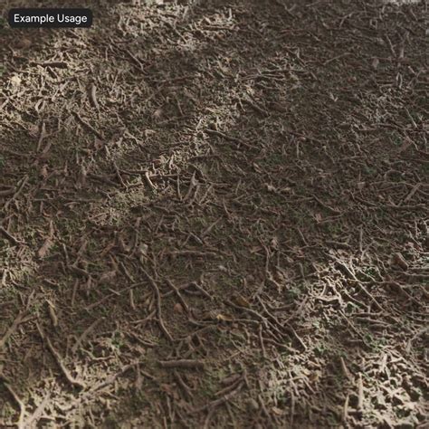 Debris On Forest Texture Poliigon