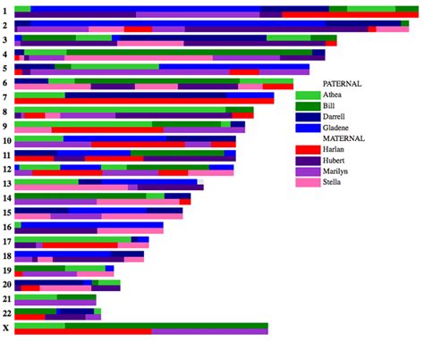 Using The Chromosome Mapper To Make A Four Generation Inheritance