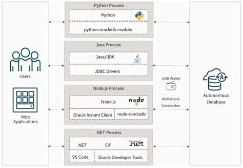 Start Polyglot Development With Autonomous Database Artofit