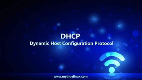 Dhcp Basics Dhcp Basics