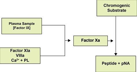 Chromogenic Factor Viii And Factor Ix Assays