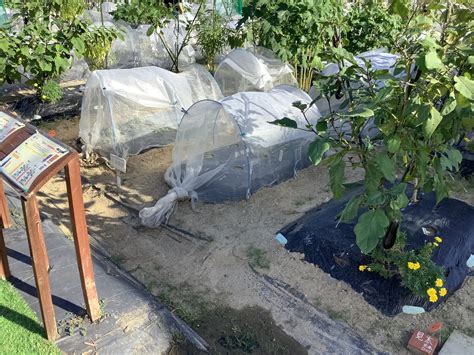 大阪で気軽に農業体験！市民農園やレンタル畑で始める野菜作り みんなのブログ 体験農園なら貸し農園（市民農園）のシェア畑