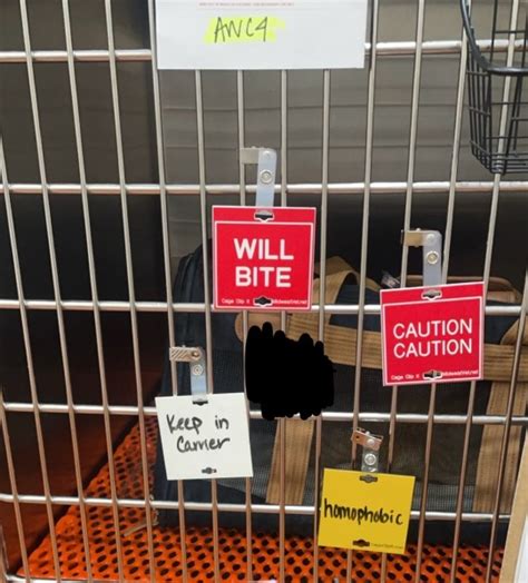 Lute Strings On Tumblr