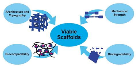 生物材料3d打印 河北英曼卡科技有限公司