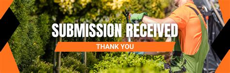 Tree Removal Price Estimate Timber Wood Tree Service