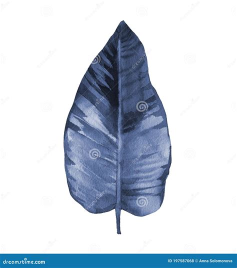 Blue Leaf Watercolour Illustration On White Background Stock Photo