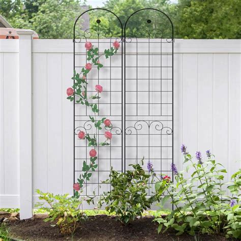 Freestanding Rose Trellis Climbing Plant Support Ideas 8 Practical