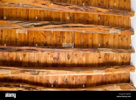 Detail Model Design Project Concept Plan Draft Closeup Tree Trees Stock Photo Alamy