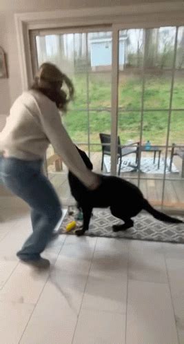 Keeley Falling  Keeley Falling Dance Discover And Share S