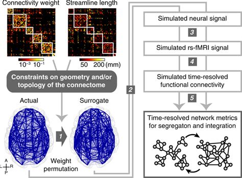 Workflow Of Surrogate Data Analysis 1 Constructing Surrogate Data Of Download Scientific