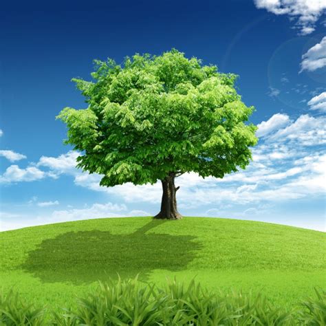 简述人工智能及其三大学派：符号主义、连接主义、行为主义 云社区 华为云