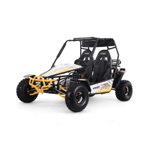 Buggies A Gasolina Y Eléctricos Perfectos Para Niños Y Adultos