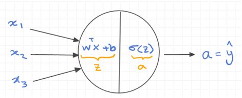 neural network 05 — gradient descent for neural networks by tharanga nandasena medium