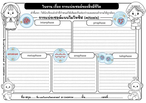 🍵ใบงาน เรื่อง สื่อ และใบงานวิทยาศาสตร์ By Cherfon Facebook