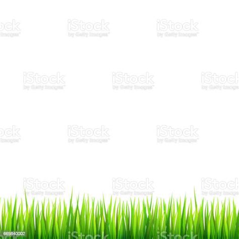 화이트 데이지 카밀레 꽃 흰색 바탕에 작은 빨간 무당벌레와 녹색 천연 잔디 테두리입니다 디자인 이나 독창성에 대 한 서식 파일