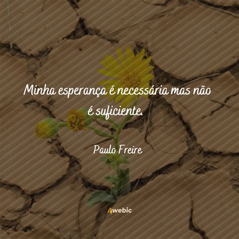 Frases De Paulo Freire Sobre Esperança Reflita Aqui