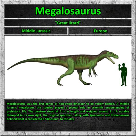 Megalosaurus Size