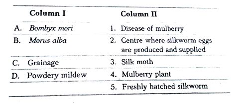 Match The Following Columns