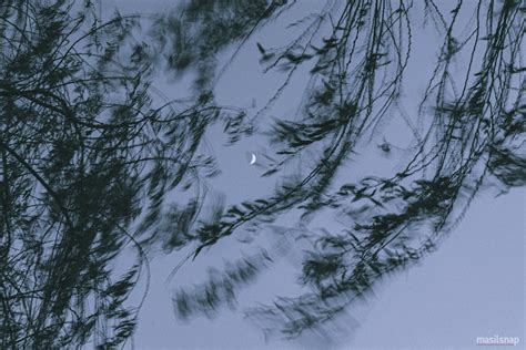 춘천마실 오늘 달이 참 차네요~