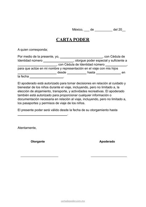 Carta Poder Simple Para Imprimir