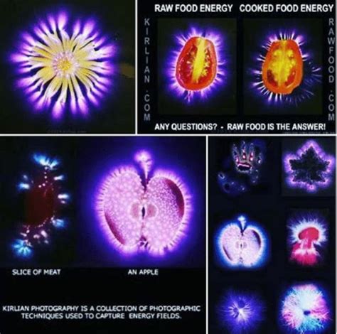 How To Create Custom Plugins For Kibana Visualisation Quora