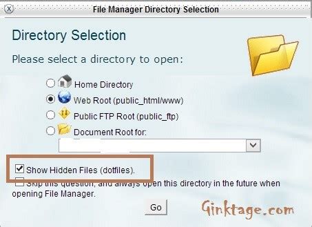 How To Show Hidden Files In CPanel File Manager Developer Publish