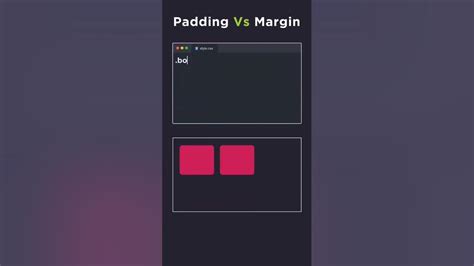 Padding Vs Margin Html Css Youtube