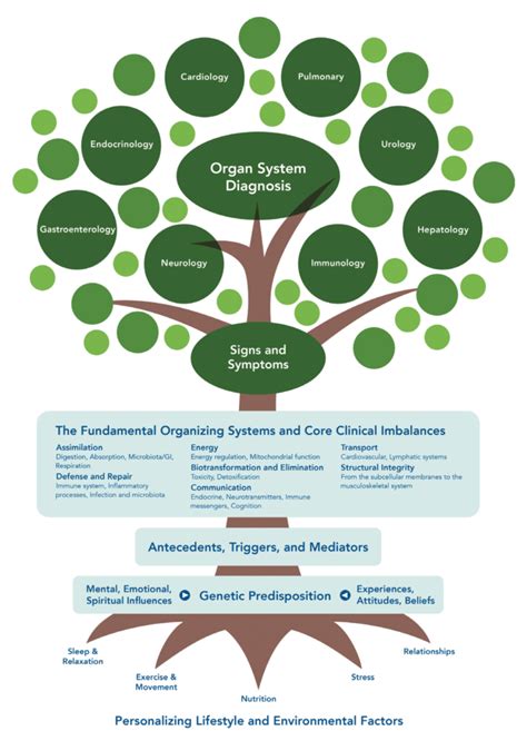 Functional Medicine Root Cause Medicine Agami Health