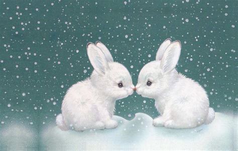 🔥 20 Snow Rabbit Desktop Wallpapers Wallpapersafari