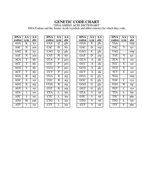PDF GENETIC CODE CHART Indiana University Bloomingtonensiweb Lessons Psa Gc Pdf GENETIC