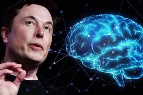 马斯克脑机接口公司或遭美国调查，4天前刚公布人体试验时间表 凤凰网