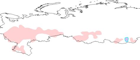 Clip Polygon Features With Country Boundary Arcgis Desktop Geographic Information Systems