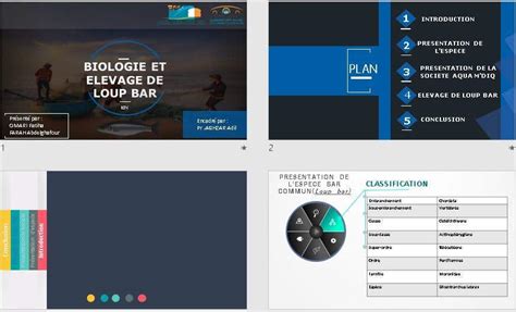 Entry 22 By Spikezew For Powerpoint Style Guide And Template Freelancer
