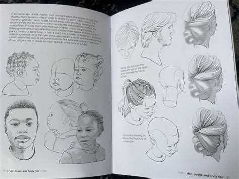 Morpho Face Head And Neck