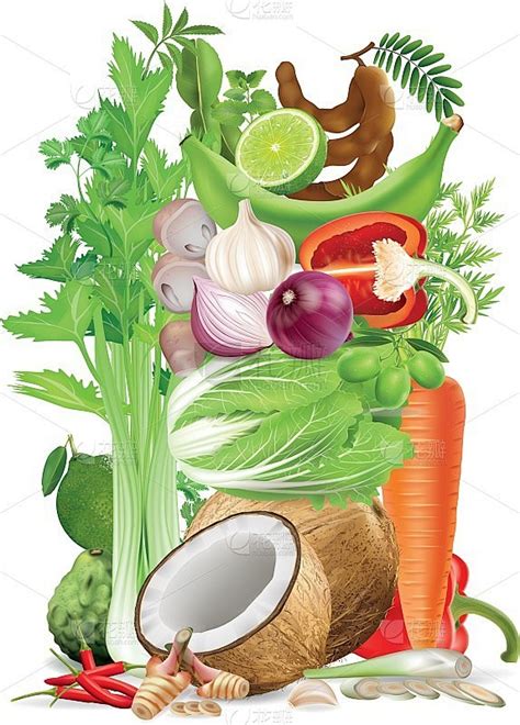 的蔬菜。新鲜食品，健康饮食理念。矢量图