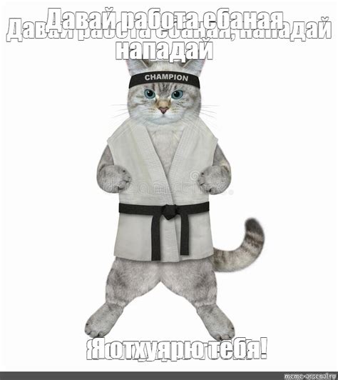 Create meme "cats, cat, gray cat" - Pictures - Meme-arsenal.com
