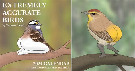 2025 Calendar Of Extremely Accurate Birds