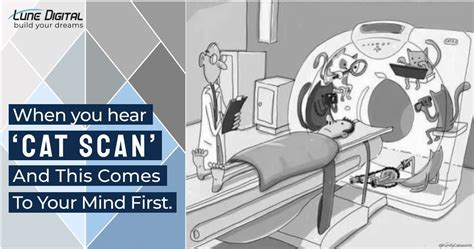 Lune Digital On Linkedin Memes Nerd Humor Geek Catscan Cat Pawsomediagnostic
