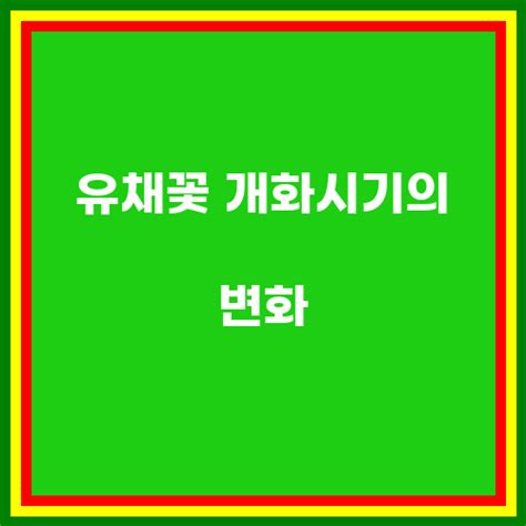 유채꽃 개화시기