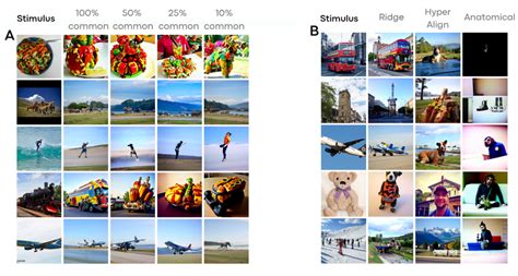 A This Figure Compares Ridge Regression Functional Alignment Over Download Scientific Diagram